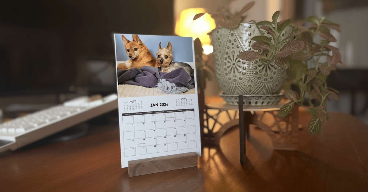 DIY 2026 Desktop Calendar (Free Editable Template)
